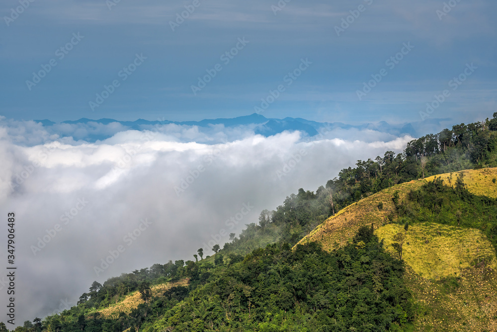 Sea of mist, mountains above the clouds with green forests and ...