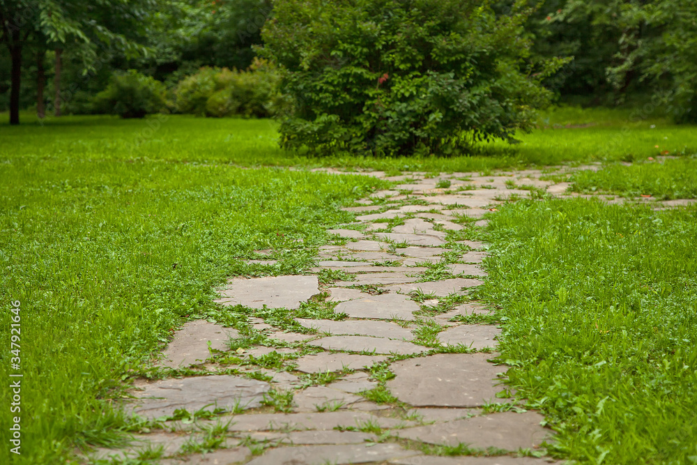 Stone path, partially overgrown with green grass and leading through a ...