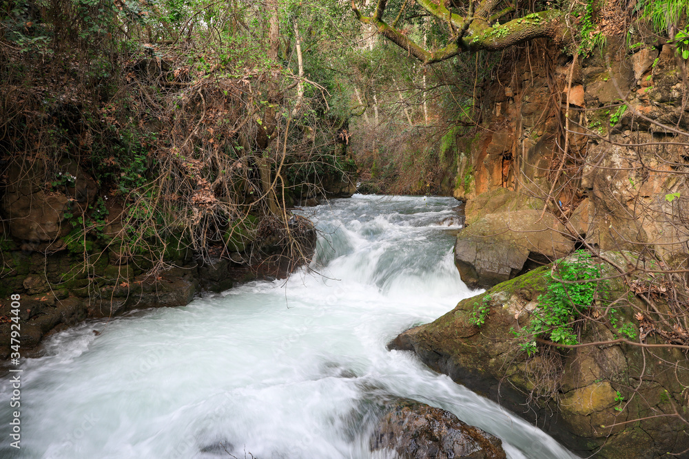 The Banias River in Israel. Long exposure photography of water flow in ...