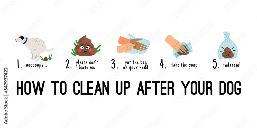 What Are The Steps To Clean A Dog