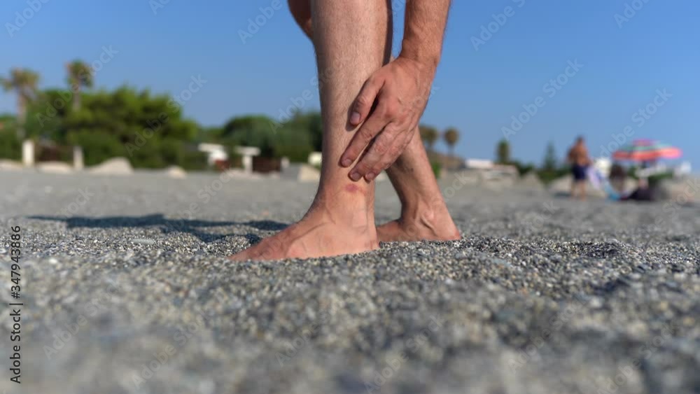 Vidéo Stock Male's hand scratching leg at the beach, barefoot man ...