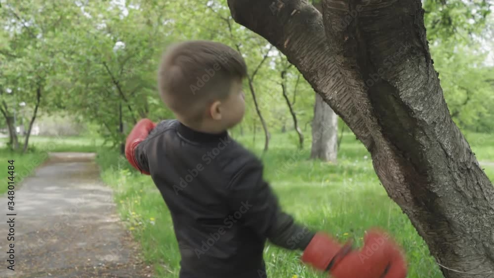 A little boy is boxing a tree, beating with his fists in big gloves and ...