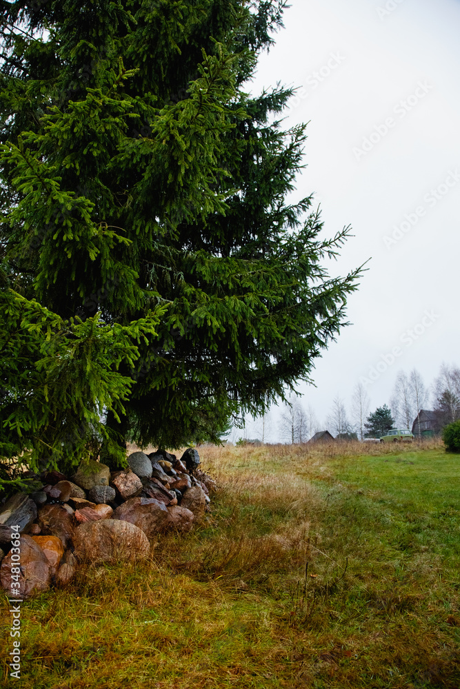 Granite stones, rocks set us background. Big granite stones boulders of ...