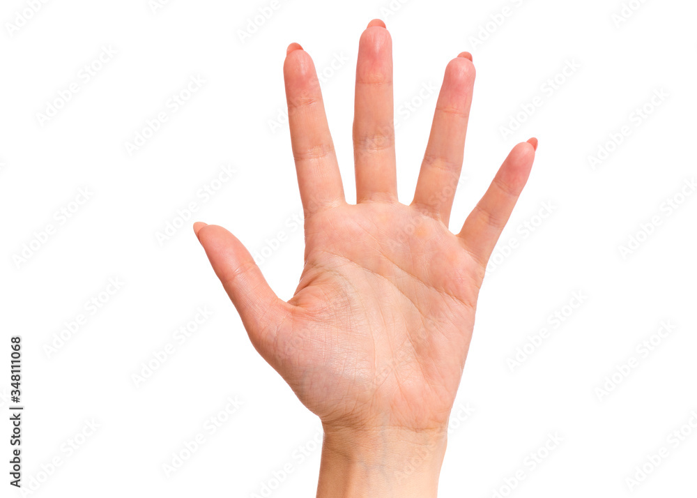 Female hand showing 5 fingers gesture, isolated on white background ...