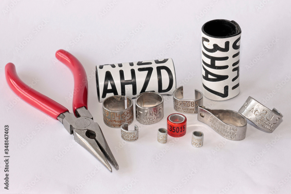 Different types of rings (metallic and plastic, according to the size ...