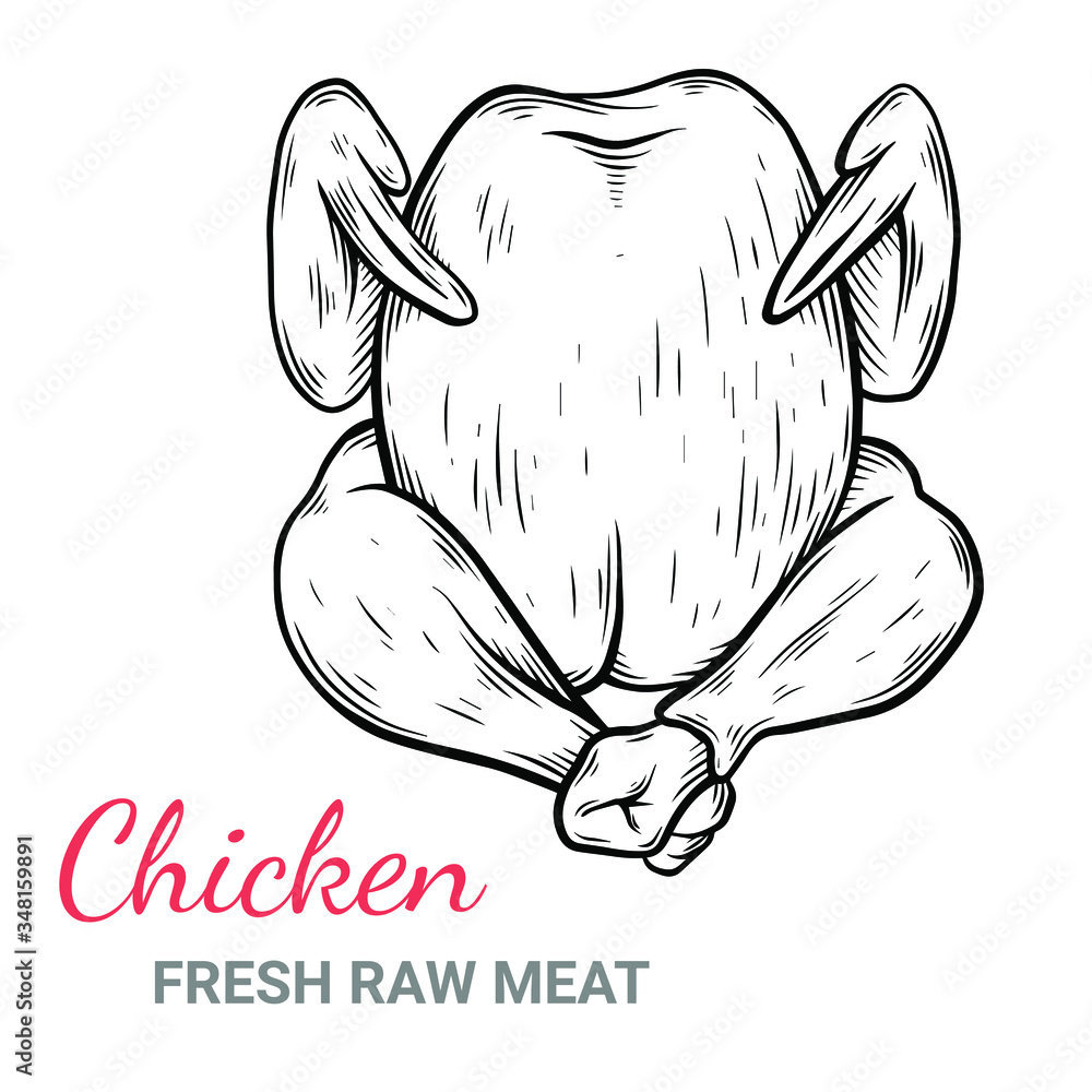 Vector Sketch Illustration Of Chicken Farming Product Drawing Engraved Style Whole Chicken