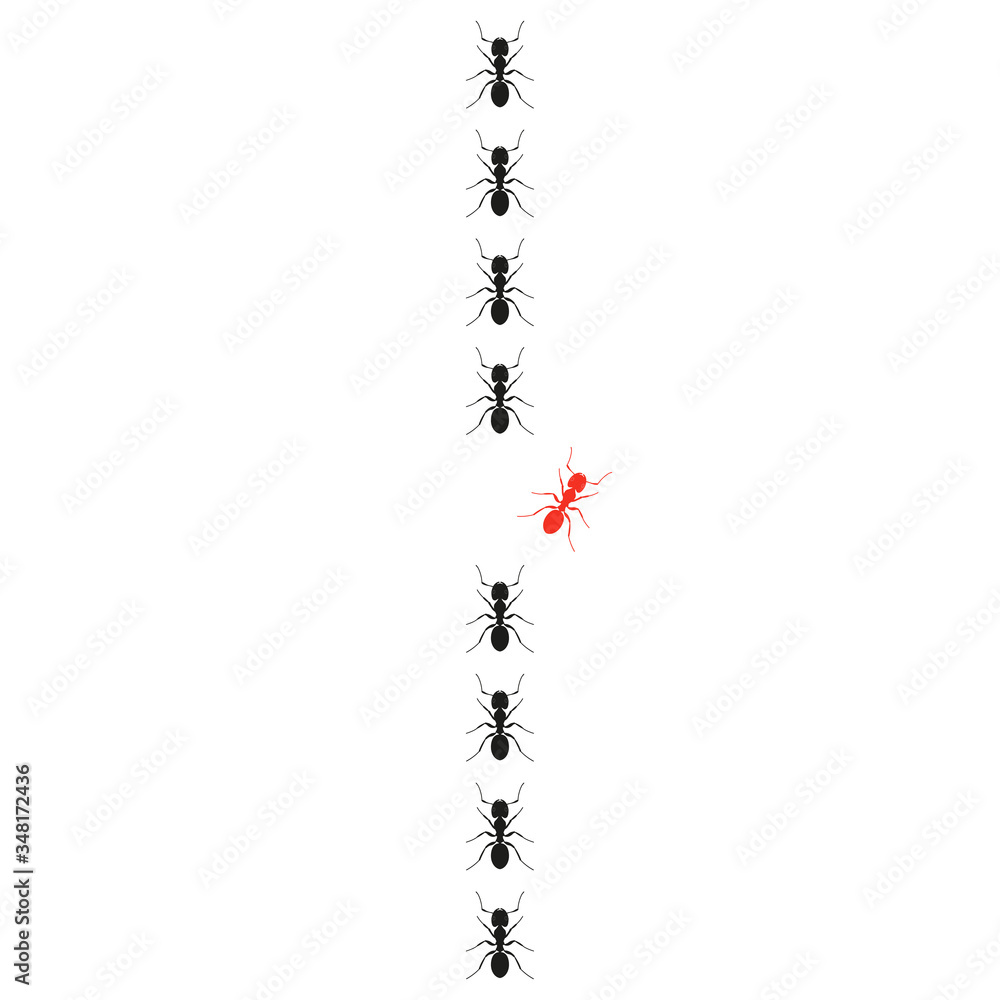 Ants marching or walking and one changing direction. Think differently ...