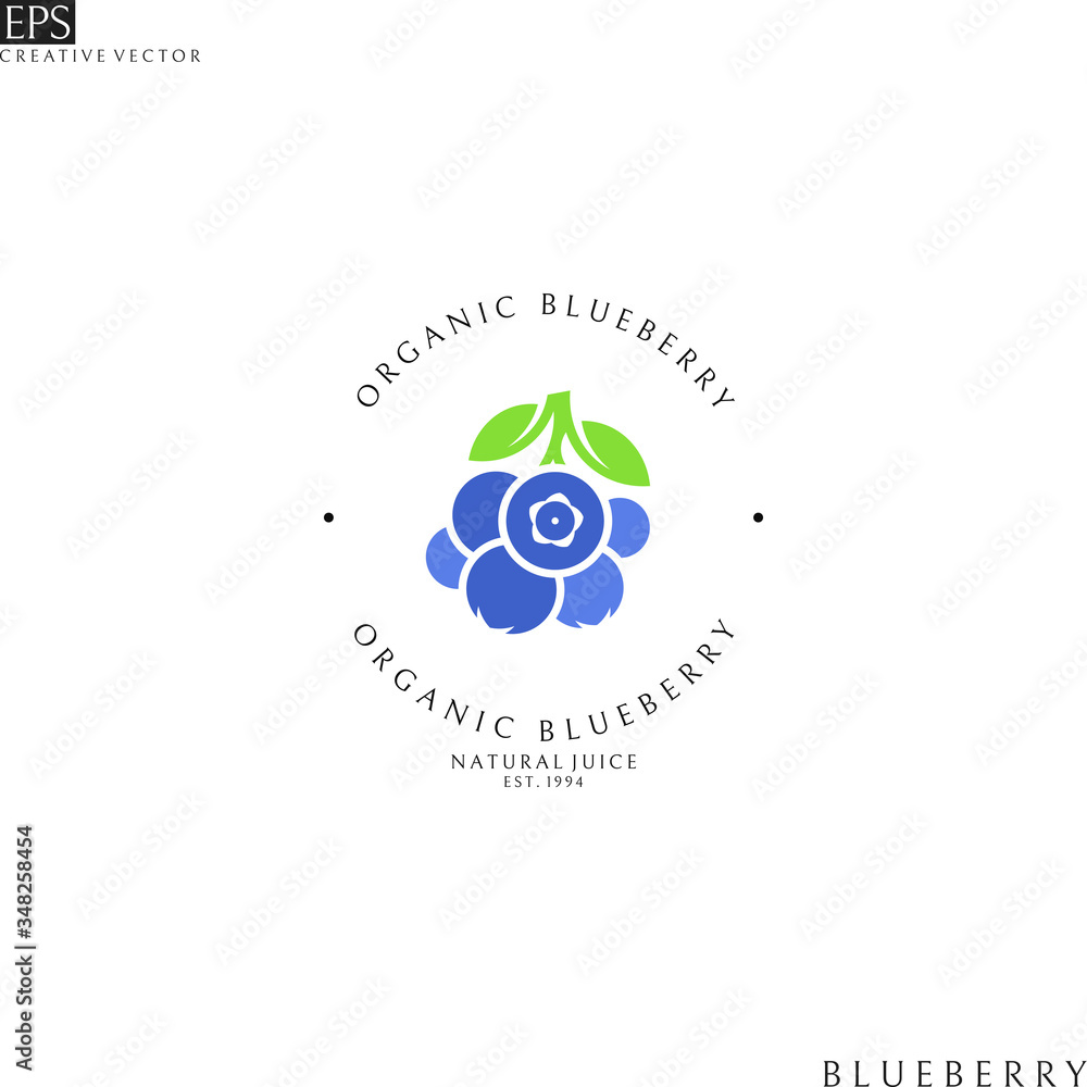 Blueberry Template