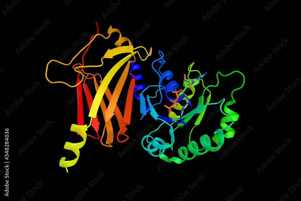 Membrane-bound ADP ribosylation factor-like protein 2 complex with ...