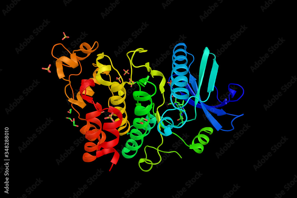 Serine/threonine-protein kinase SRPK2, an enzyme that in humans is ...