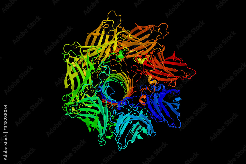 Alpha-toxin, the major cytotoxic agent released by bacterium ...