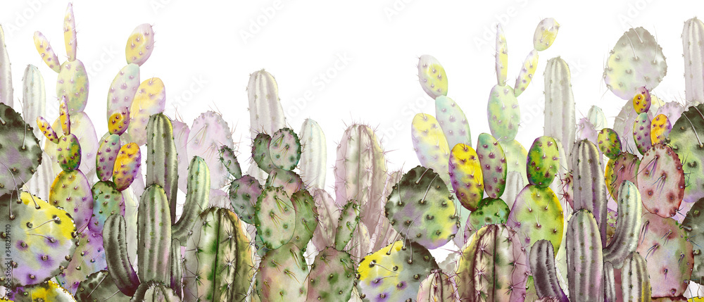 Seamless banner with green cactus plants. Stock Illustration | Adobe Stock