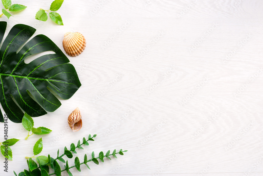 Nature background frame with green leaves and shells for design ...