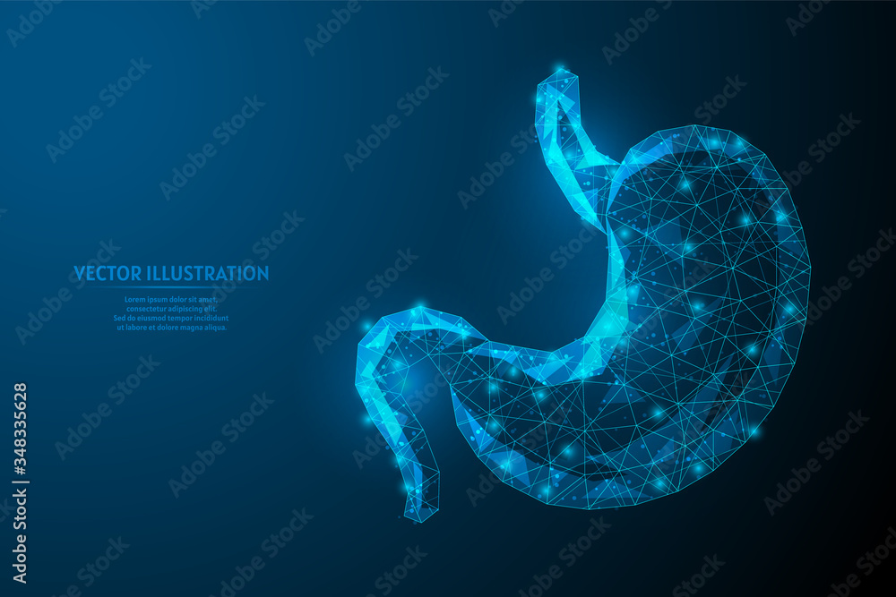 Human stomach close up. Organ anatomy. Digestive system. Ulcer, cancer ...