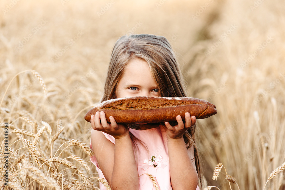 Happy little girl child in wheat cereal field in summer. Children with ...
