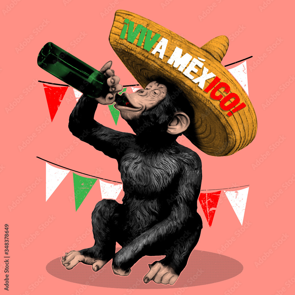 Viva Mexico! Monkey drinking from a bottle. Design for apparel. Stock ...