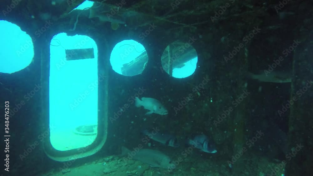 Video „Technical wreck marine scuba diving. Old rusty wartime naval ...