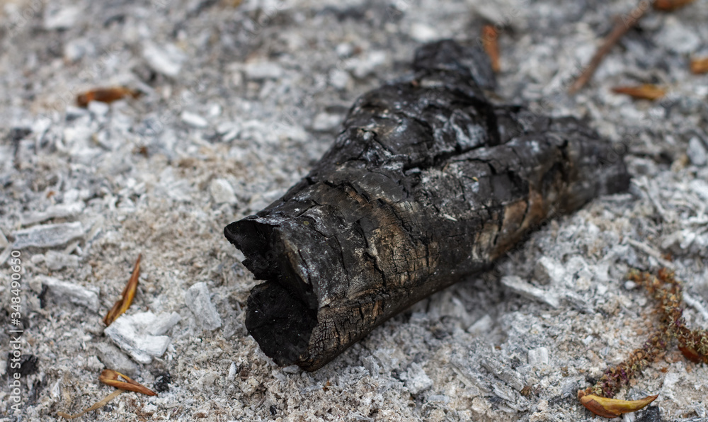 the rest of the burned log lies in the ashes from the fire. The problem ...