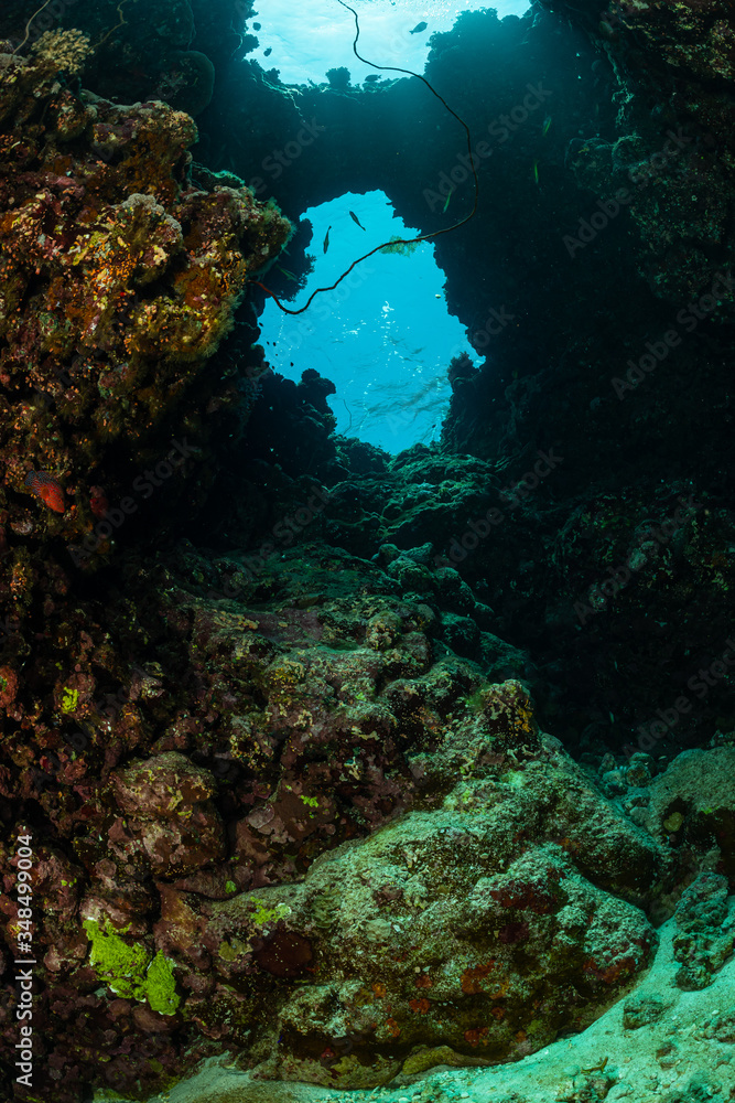 typical underwater cave in a red sea reef Stock Photo | Adobe Stock