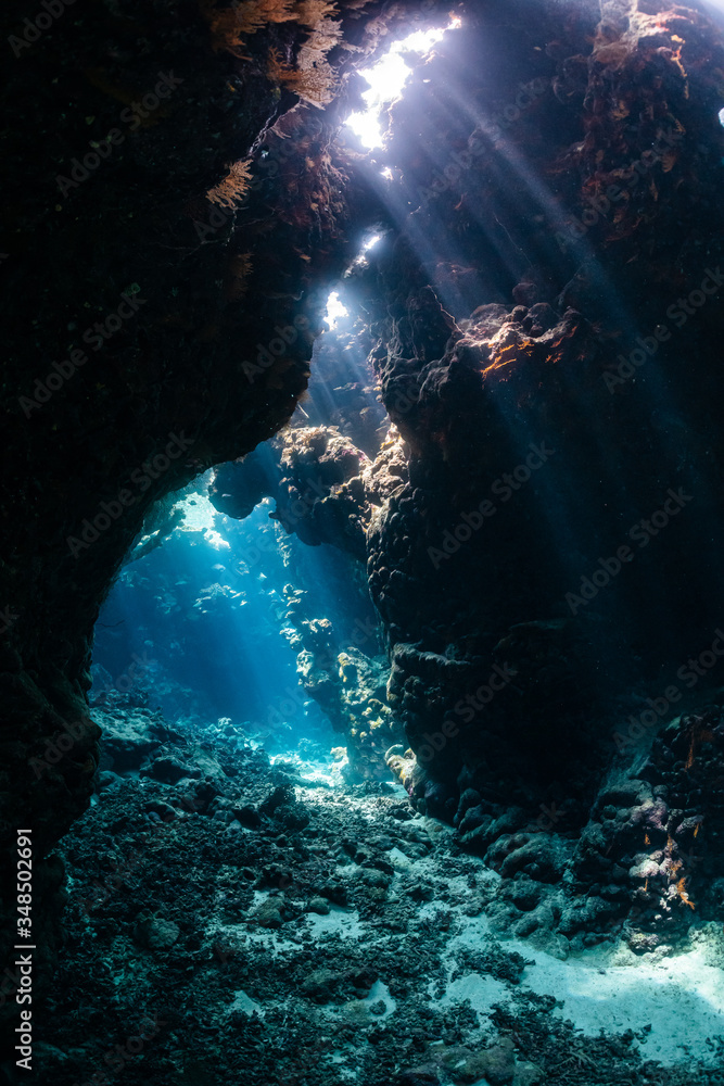 typical underwater cave in a red sea reef Stock Photo | Adobe Stock
