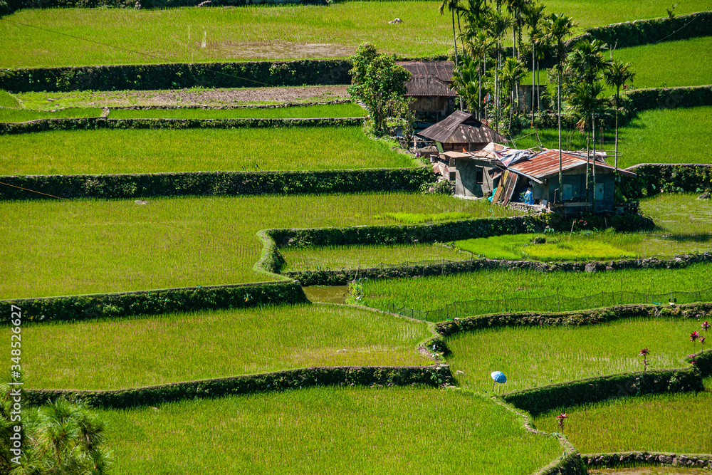 Farm houses in the Banaue rice terrace at hungduan rice terraces ...