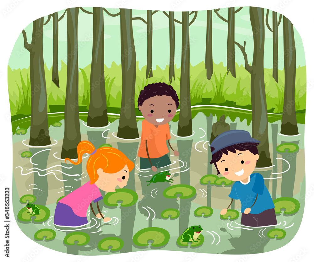 Swamp Pictures For Kids