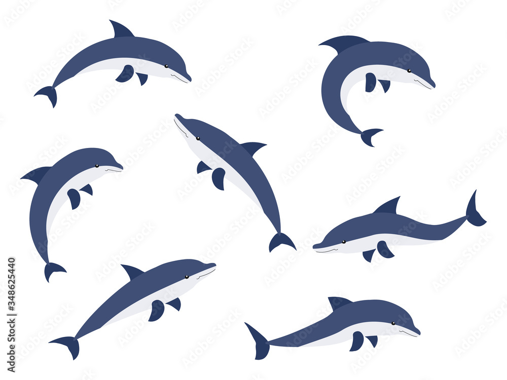 Set of cartoon dolphins vector illustration isolated on white ...