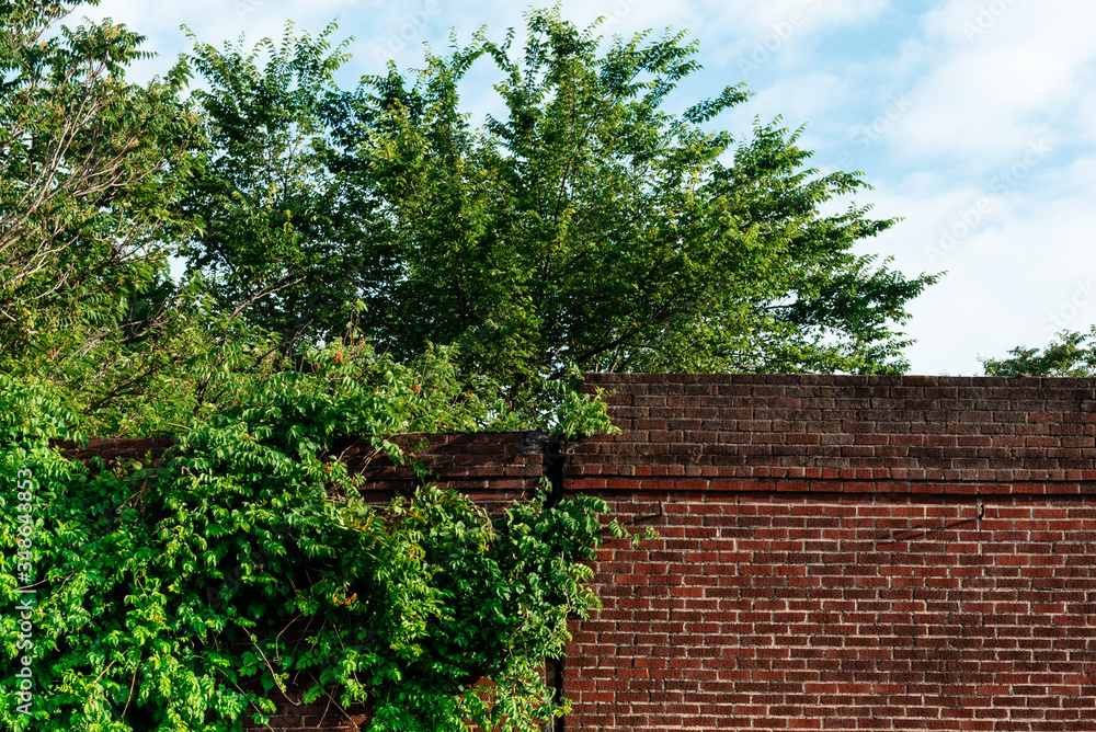 Abandoned brick building with overgrown foliage across the facade ...