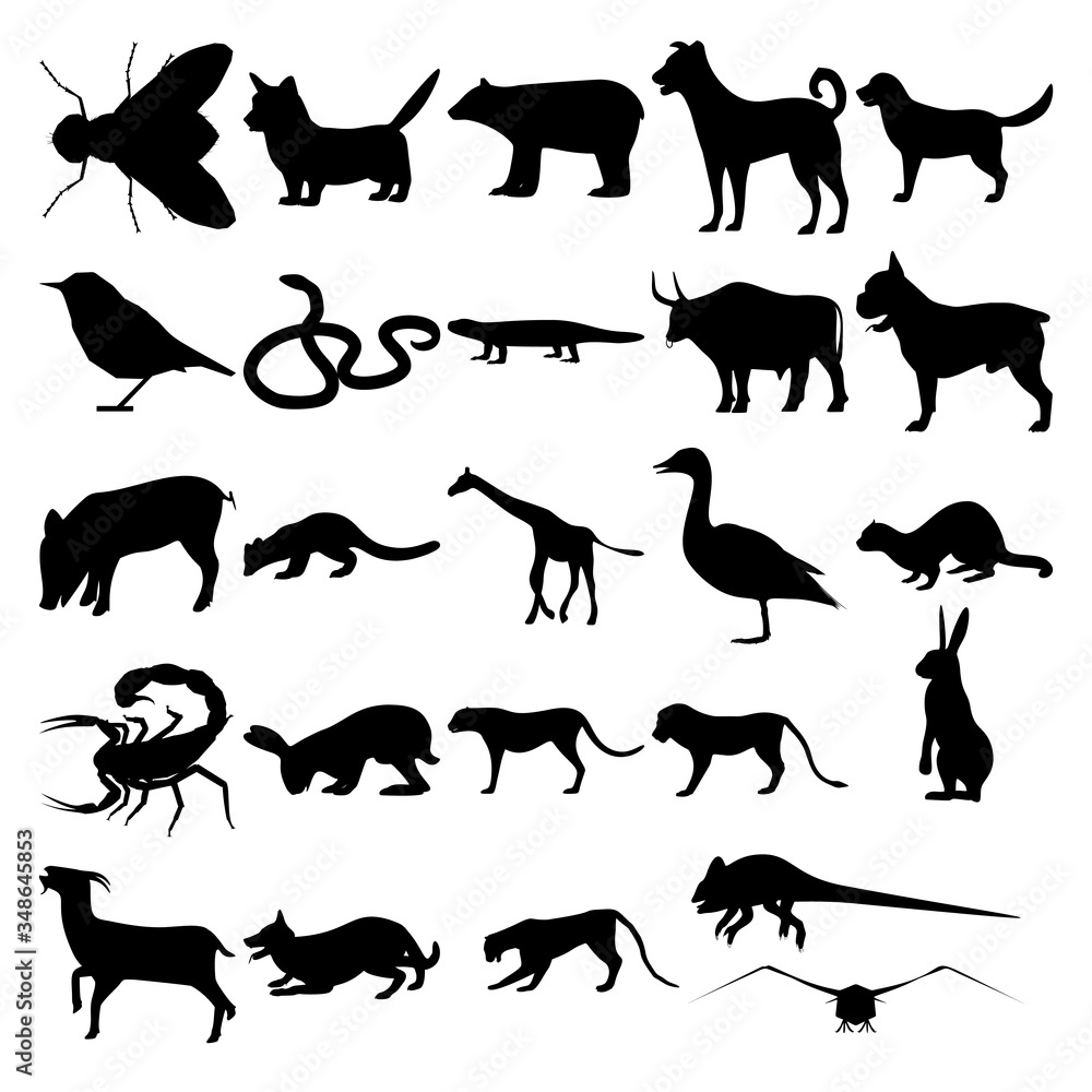 Set of 25 animals. Housefly, Bear, Bird, Snake, Lizard, Bull, Pig ...