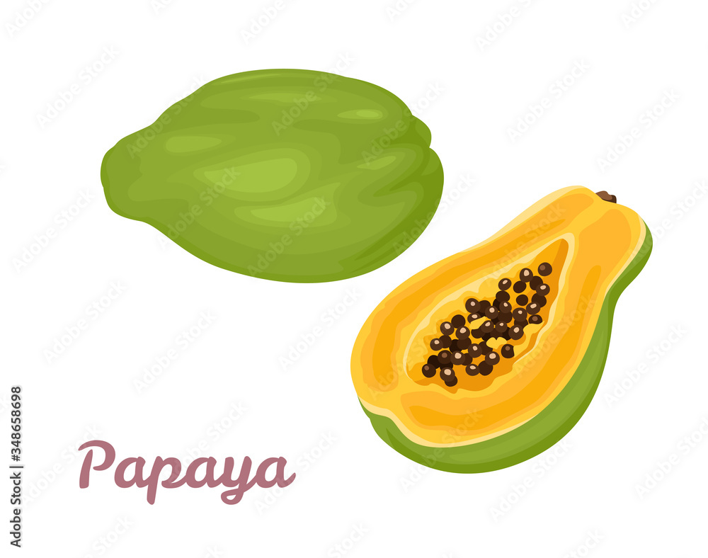 Papaya isolated on a white background. Vector illustration of tropical ...