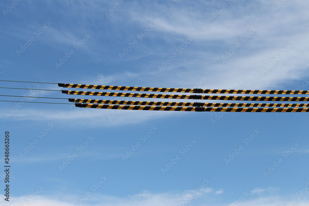 Yellow and black striped synthetic tubes that (Tiger tails) They are ...