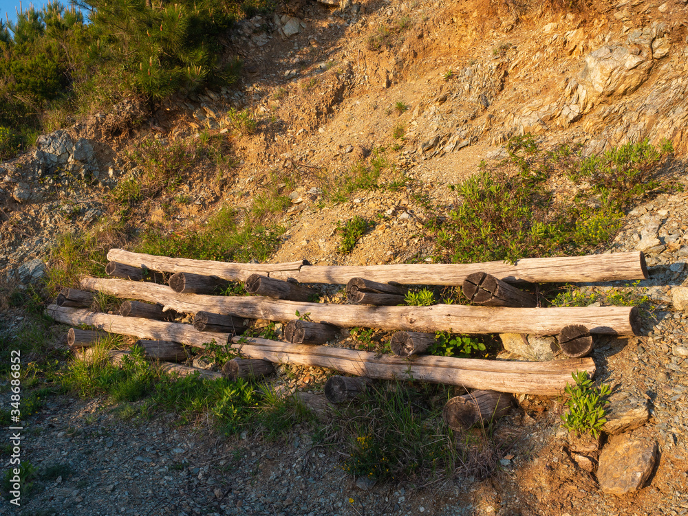 Poster landslide prevention: structure made with trunks to consolidate ...