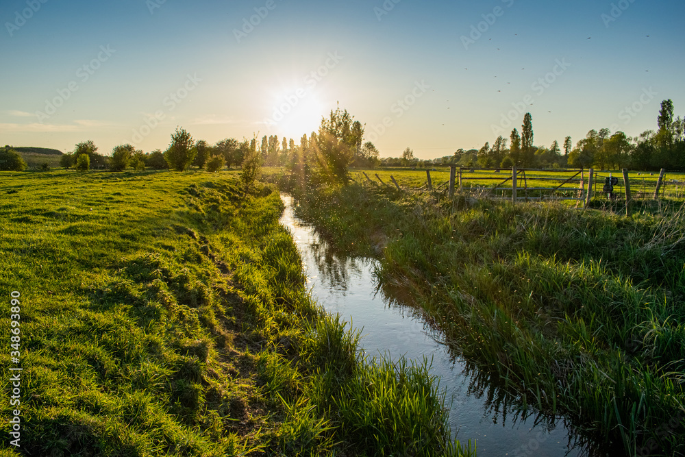 Beautiful English countryside rural farm view, mosqito swarm hatching ...