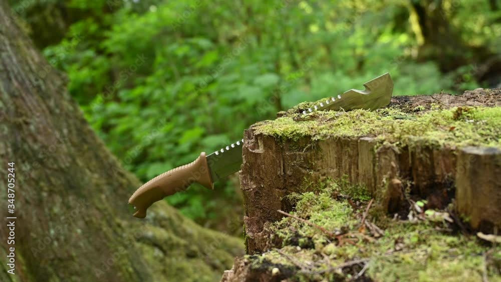 A survivorman cut deep into a tree trunk with his machete on a survival ...
