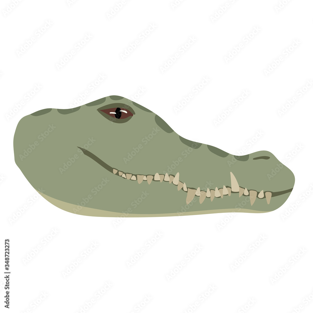 African Animal - Crocodile Head/Face - Vector Cartoon Stock Vector ...