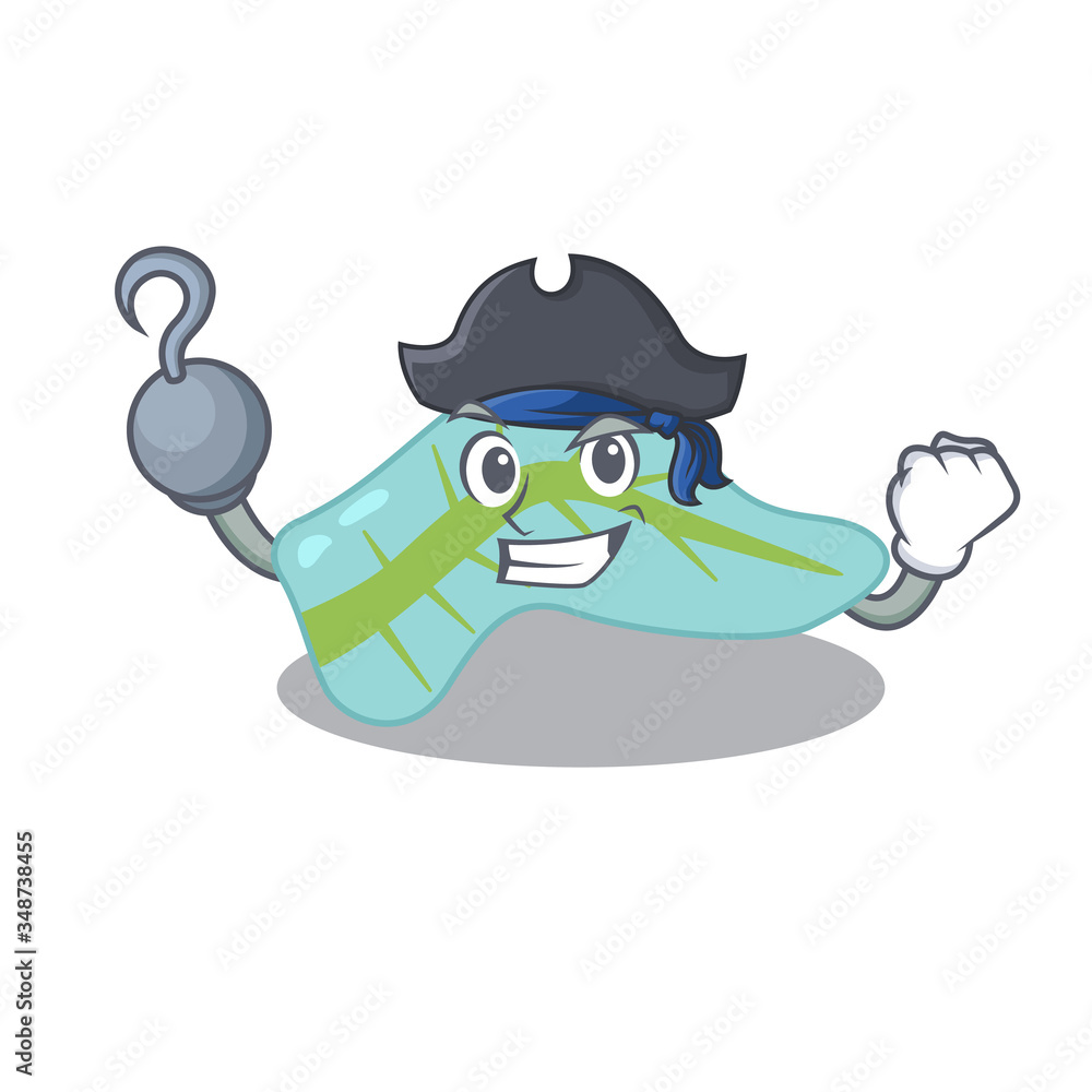 Pancreas cartoon design in a Pirate character with one hook hand Stock ...