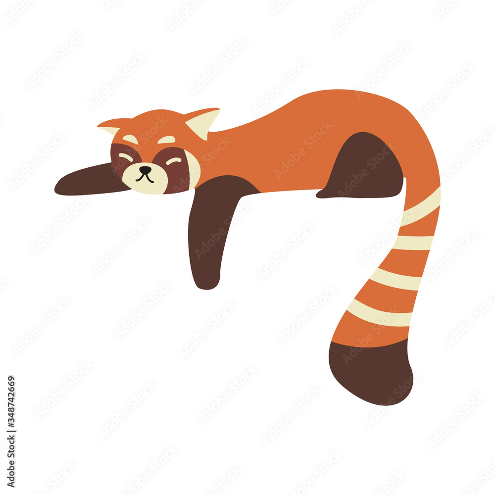 Cute Cartoon red panda, Vector illustration red panda on a white ...