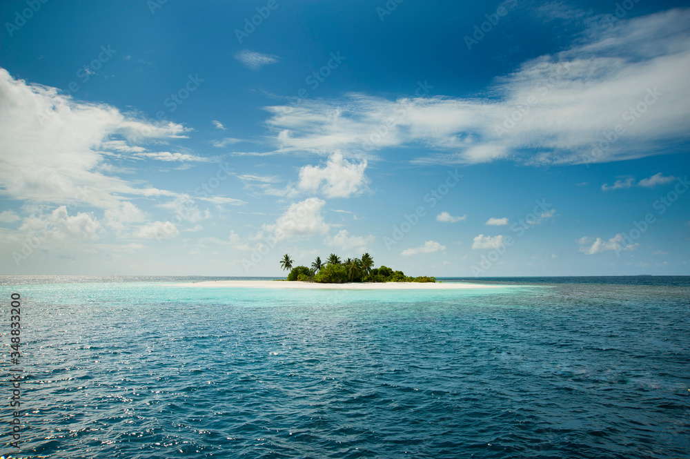 Atollo nell’oceano del mare delle Maldive, vegetazione e palme tra le ...