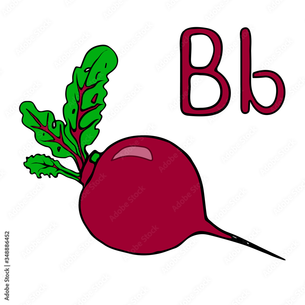 Learning letters letter B. Cartoon beet. Vector outline freehand ...