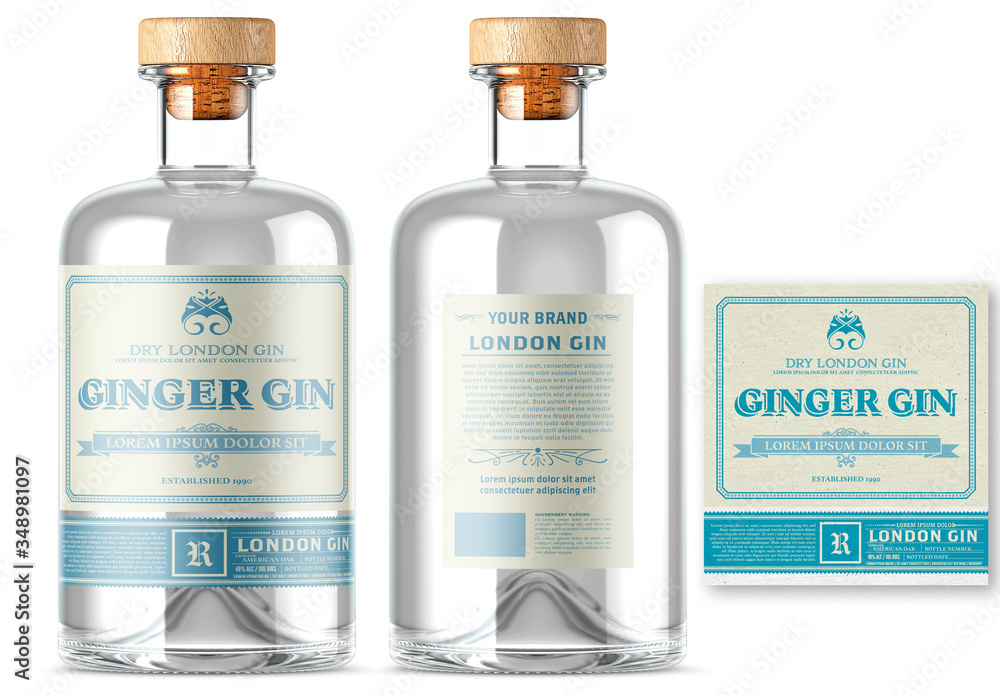 Vintage Liquor Bottle Packaging Layout Stock Template | Adobe Stock