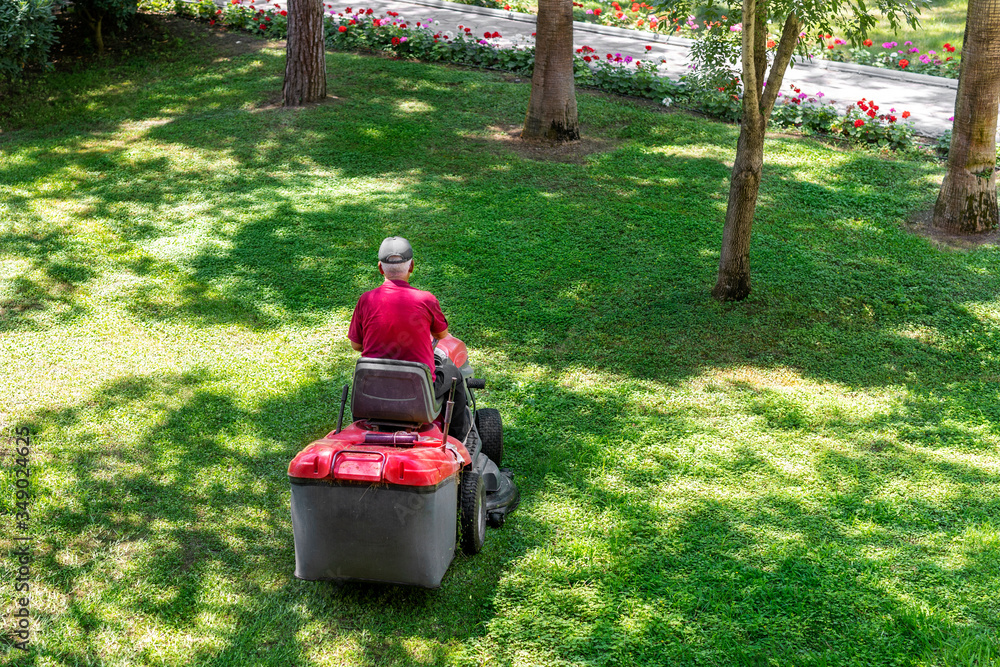 Top down above view of professional lawn mower worker cutting fresh ...