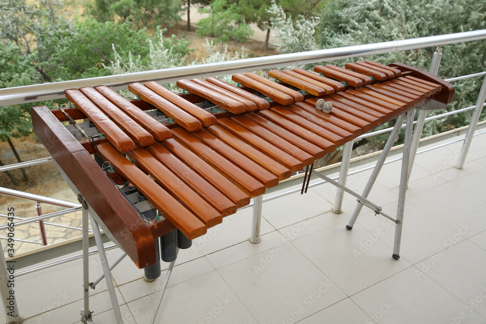 Xylophone, weenote. Xylophone closeup, wooden percussion instrument ...