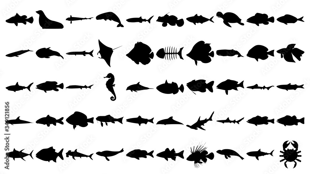 Vector set of 50 various fish and sea animals silhouettes. Stock Vector ...