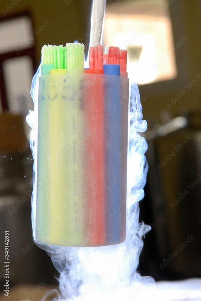 Reproduction, génétique, insémination artificielle, conservation des ...