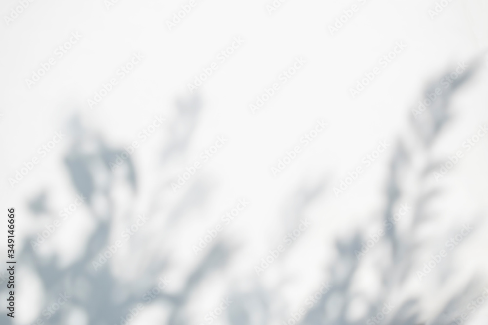 Light shadow of Leaves plant and tree branch background. Natural leaves ...