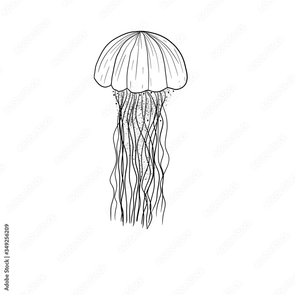 simple drawing in black and white colors of jellyfish Stock ...