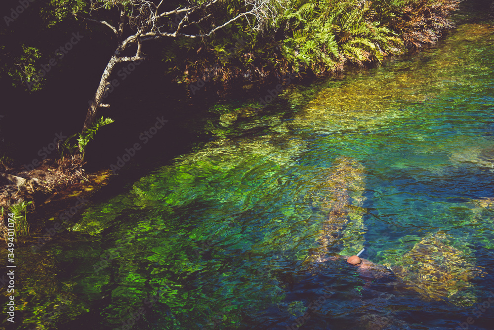 A cenote is a natural pit, or sinkhole, resulting from the collapse of ...