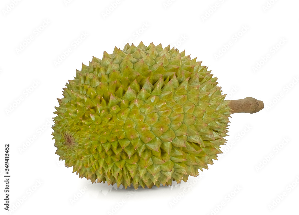 durian isolated on white background, king of fruits Stock Photo | Adobe ...