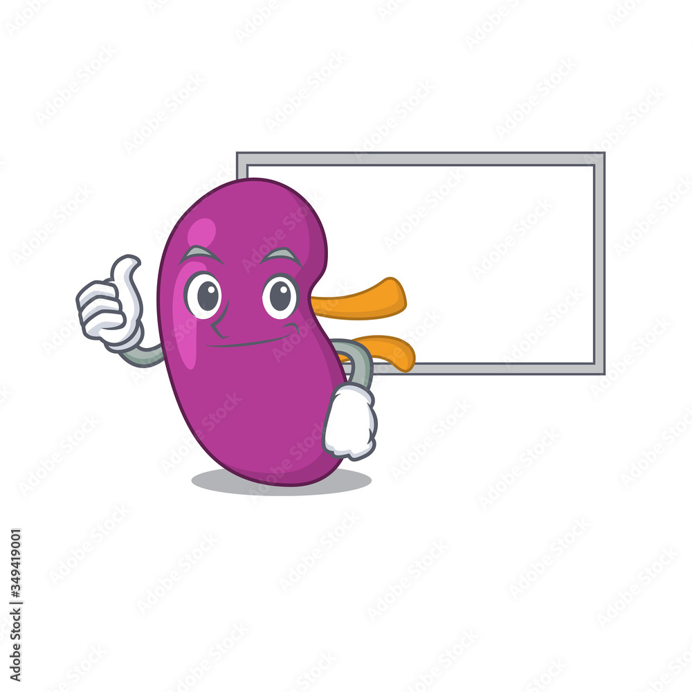 Kidney cartoon design with Thumbs up finger bring a white board Stock ...