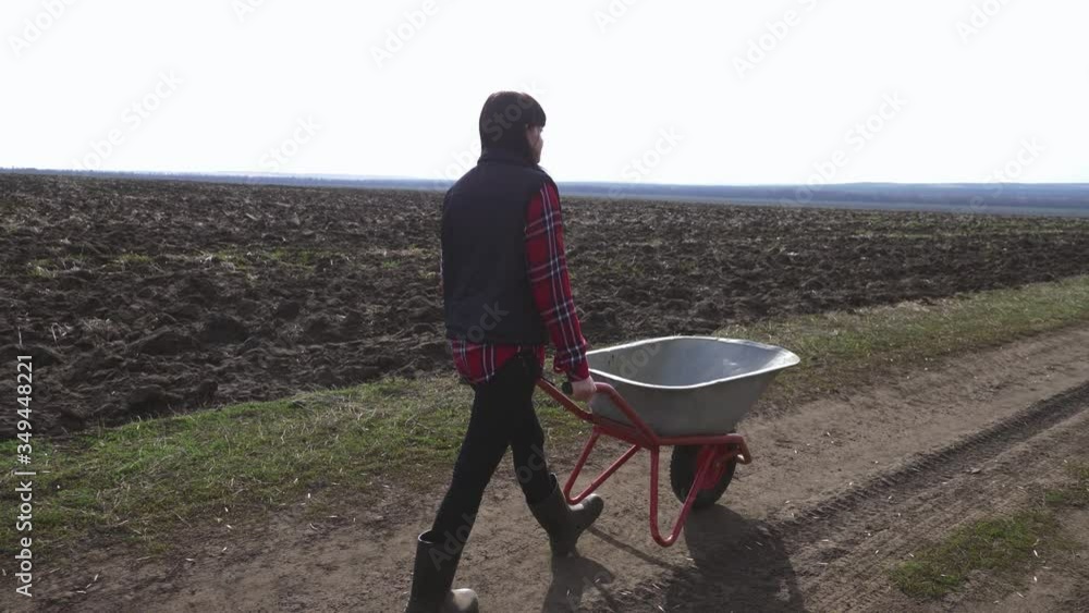 A farmer girl does dirty work. A girl drives a garden wheelbarrow along ...